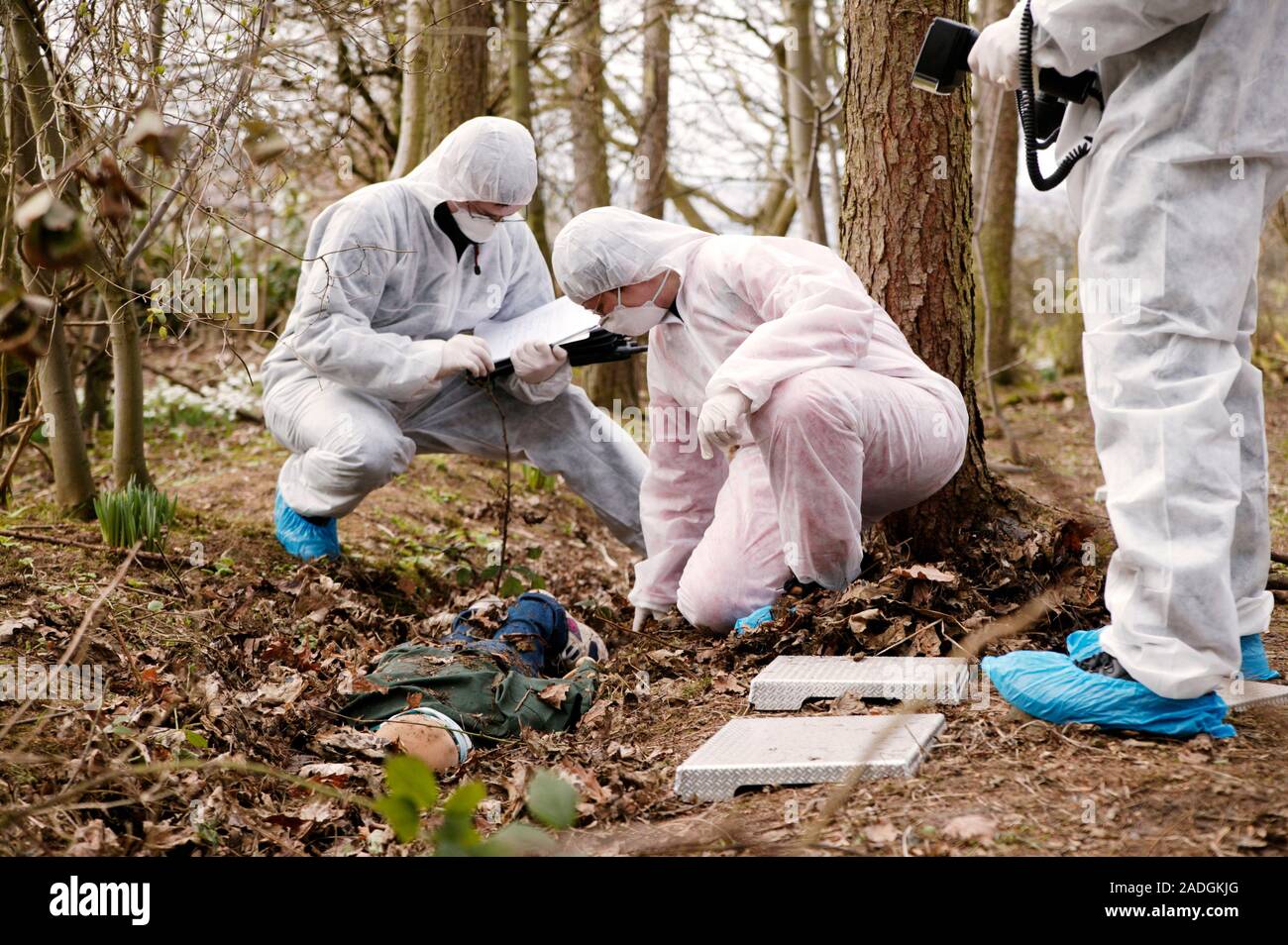 MODEL RELEASED. Forensic training. Scene of crime officers (SOCOs ...
