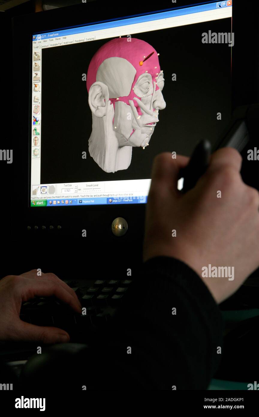 Facial reconstruction. Forensic scientist using a computer to ...