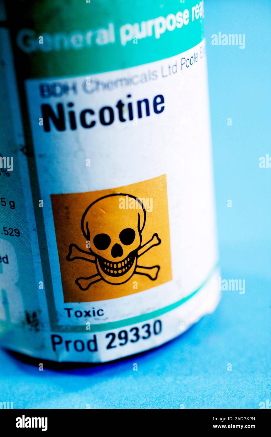 Nicotine. Bottle of nicotine used for forensic research. Nicotine is a ...