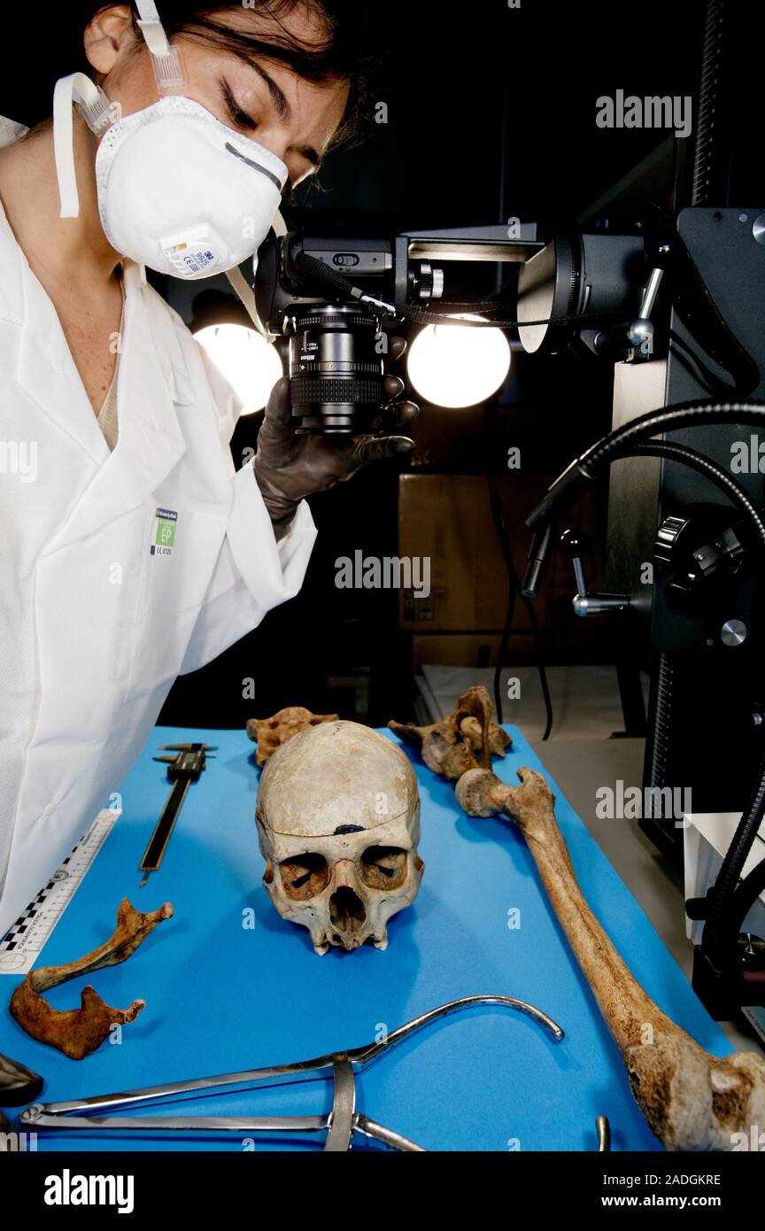 Forensic evidence. Camera being used to photograph parts of a skeleton ...
