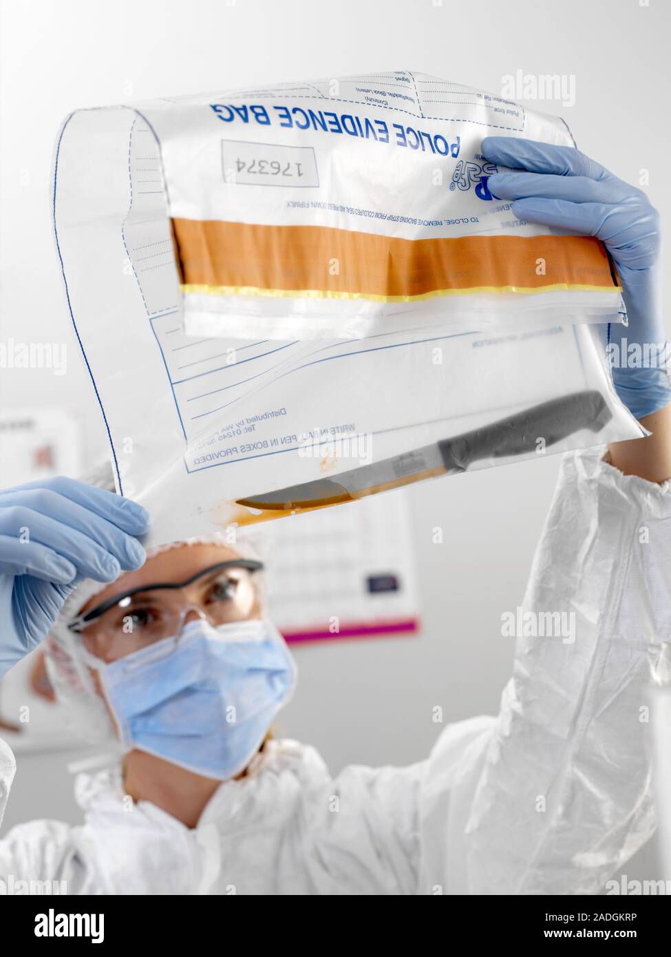 Forensic evidence. Scene of crime officer (SOCO) holding up a bag ...