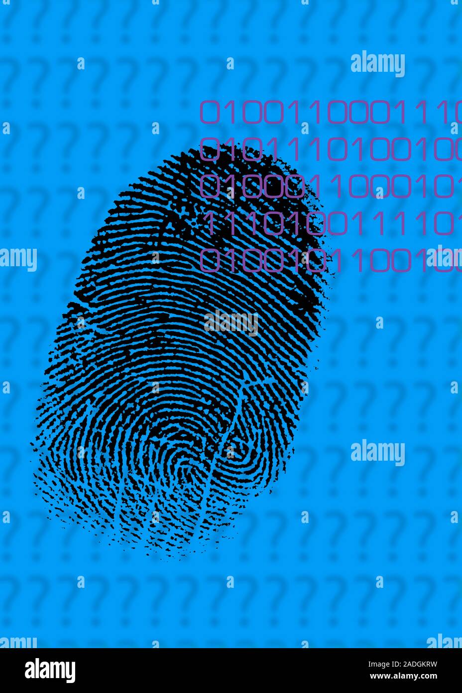 Fingerprint. Computer artwork depicting a fingerprint overlain with ...