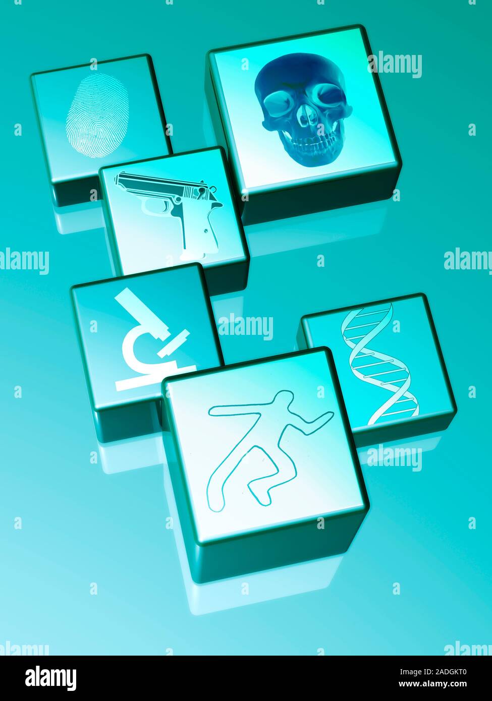 Forensic science. Computer artwork depicting different fields in ...