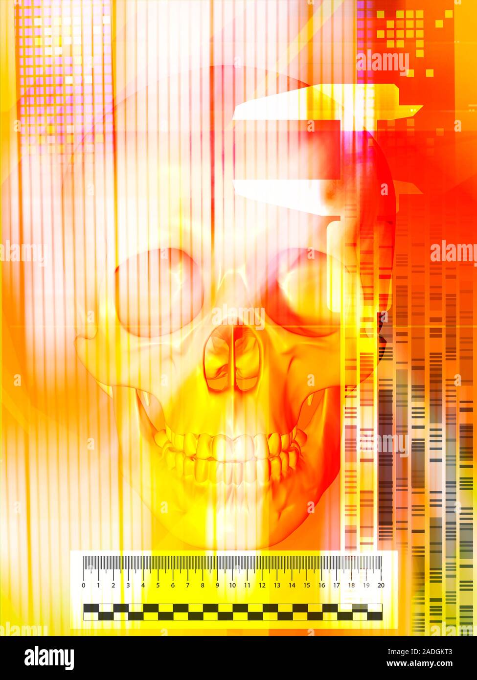 Forensic science. Computer artwork depicting different fields in ...