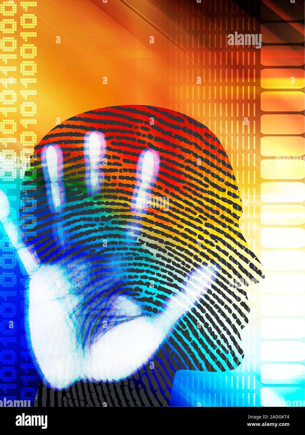 Forensic science. Computer artwork depicting different fields in ...