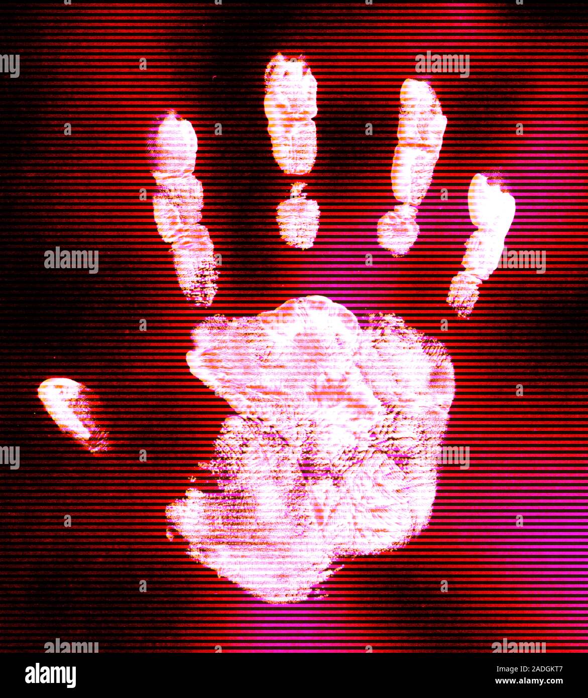 Human handprint. Like fingerprints, the palm of the hand can make a ...
