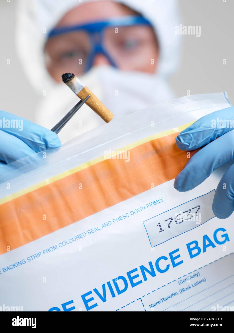 Collecting evidence. Forensics officer using forceps to collect a ...