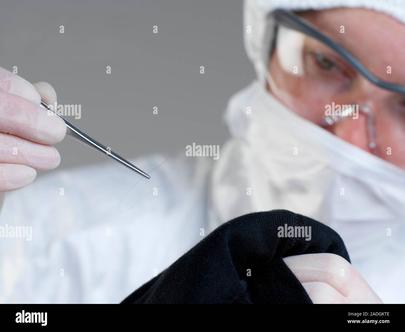 Collecting evidence. Forensics officer using forceps to collect a ...