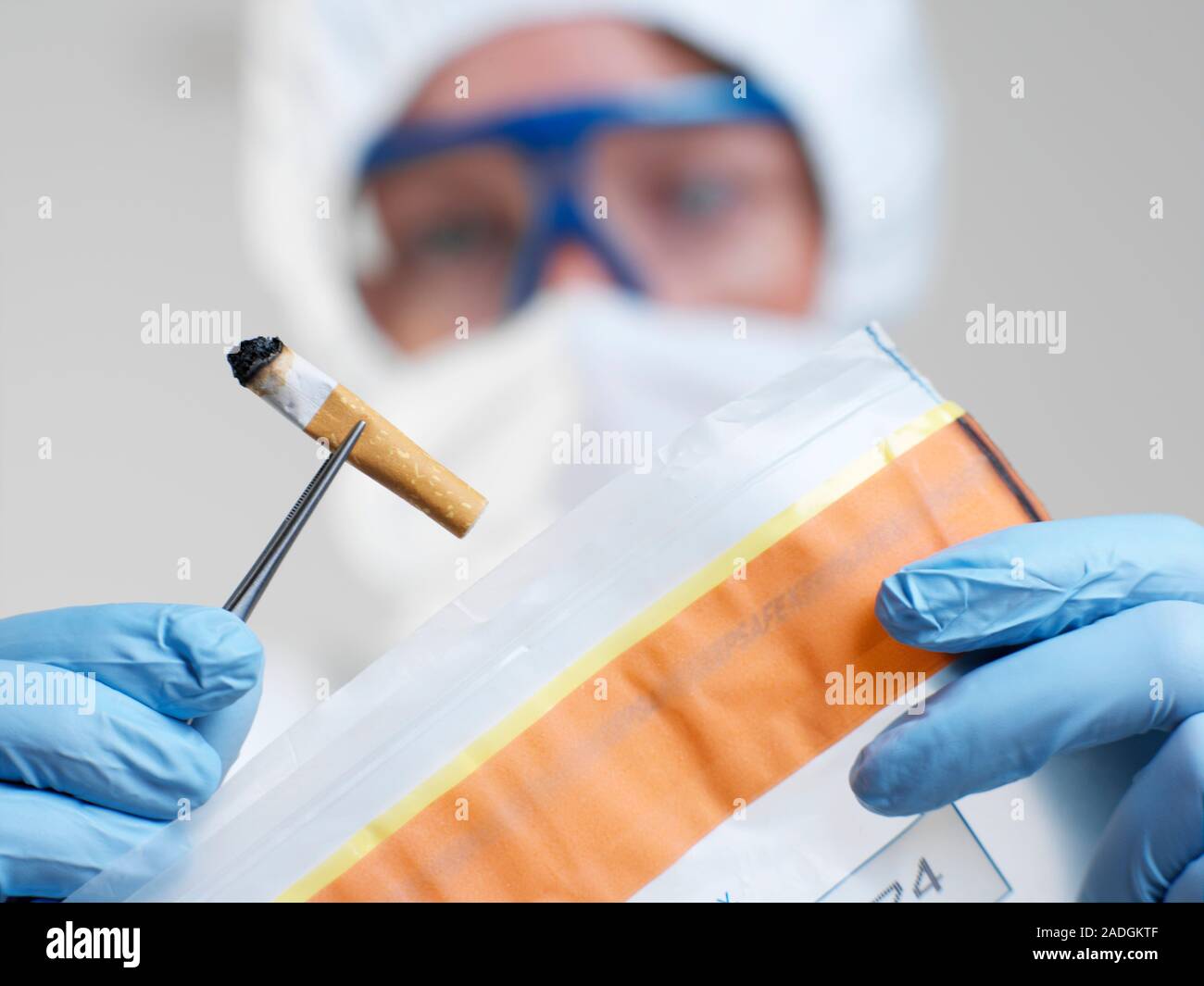 Collecting evidence. Forensics officer using forceps to collect a ...