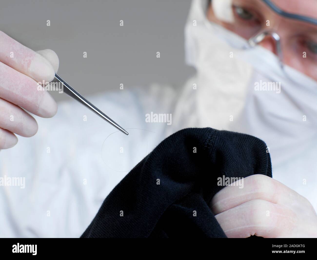 Collecting evidence. Forensics officer using forceps to collect a ...