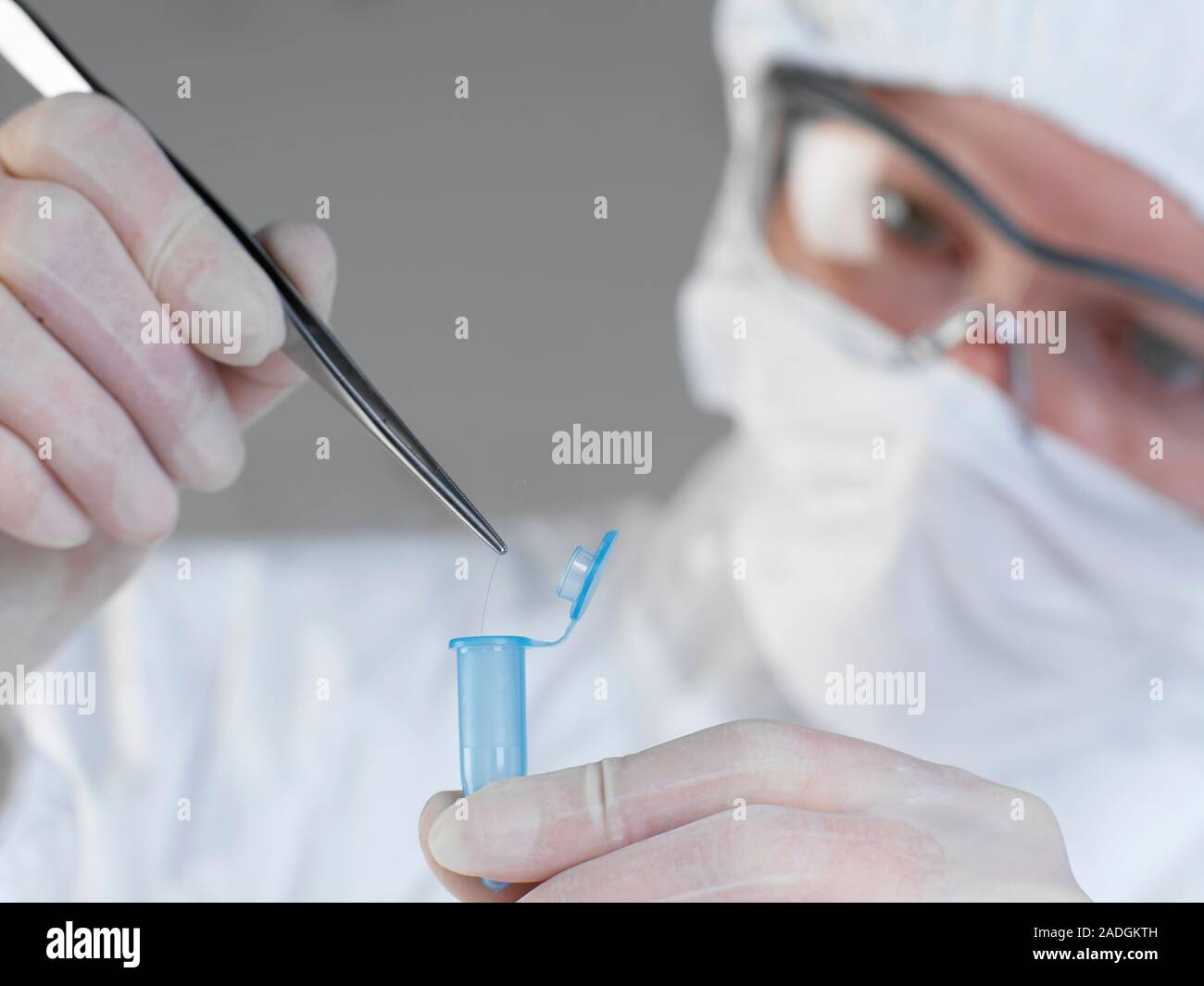 Collecting evidence. Forensics officer using forceps to place a strand ...