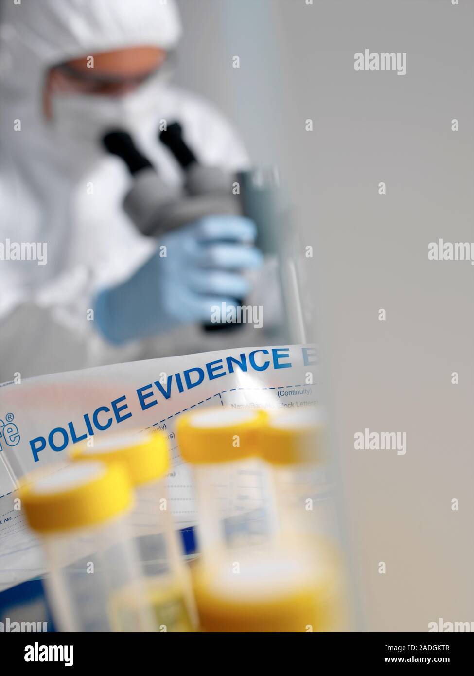 Forensic evidence. Scene of crime officer (SOCO) examining forensic ...
