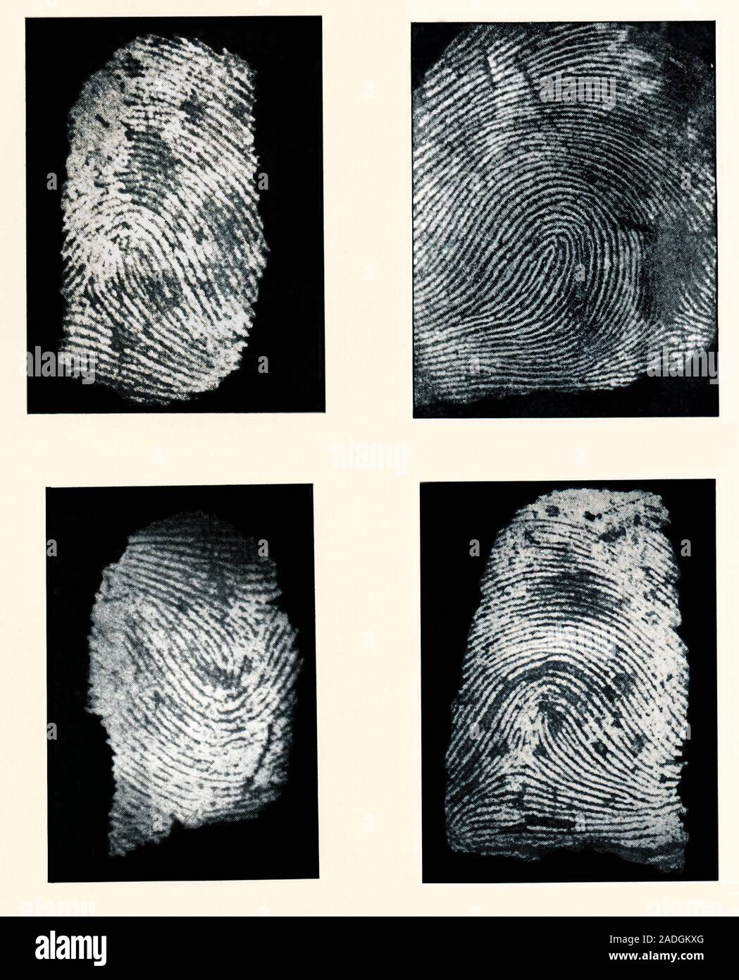 Fingerprints made visible with ink, artwork from Dr Henry Faulds's ...