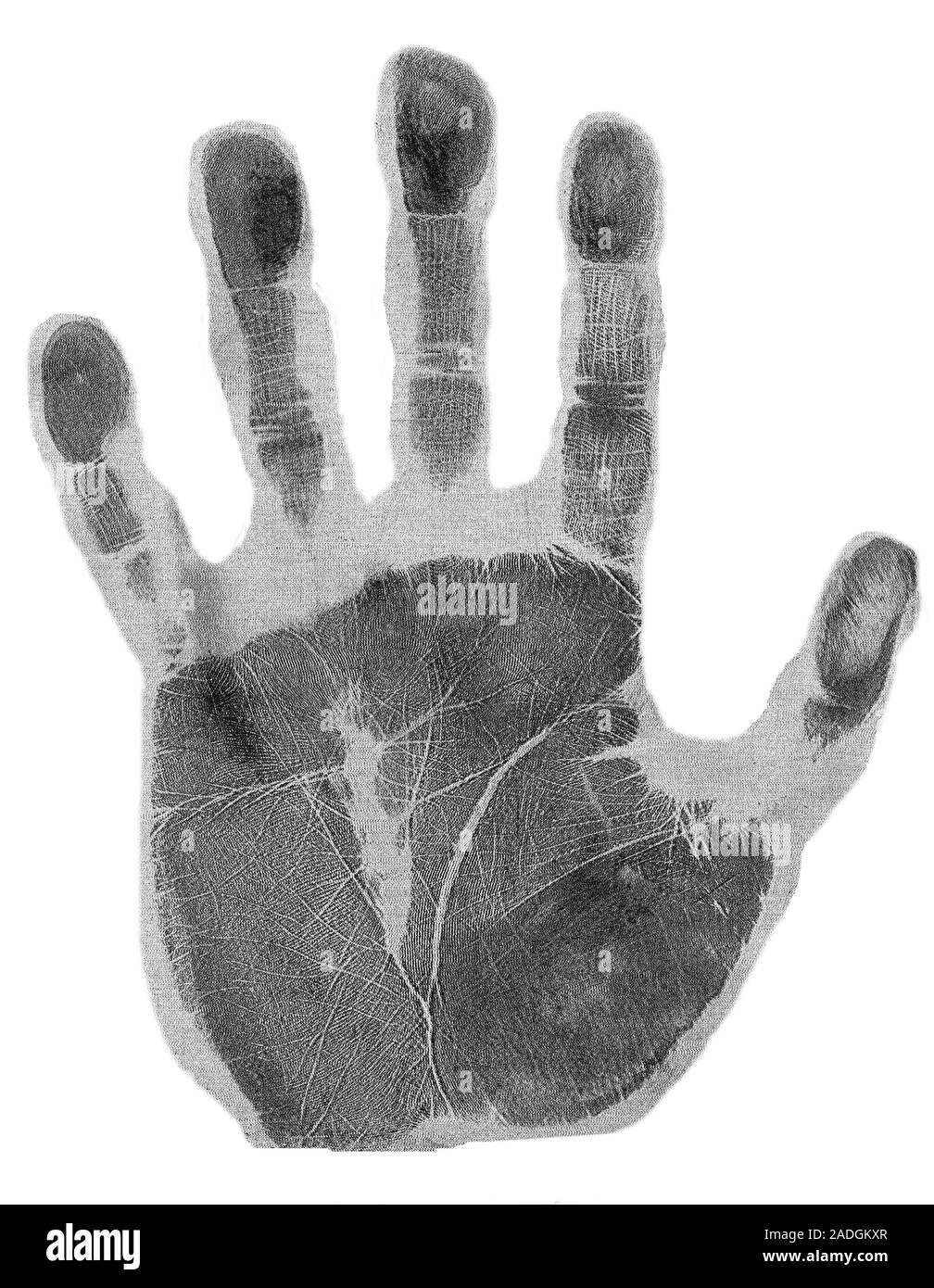 Human handprint. A handprint from the left hand of a human adult male ...