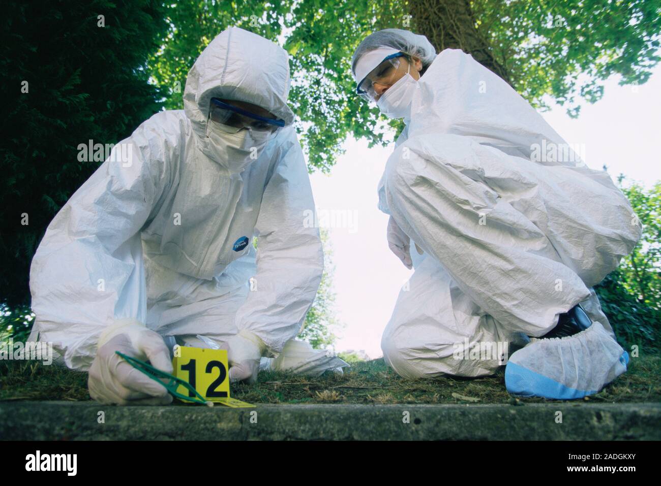 Forensics officers collecting marked evidence at the scene of a crime ...