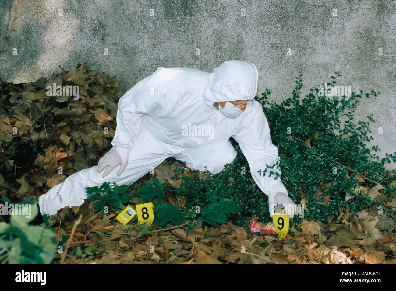 Forensics officer marking evidence at the scene of a crime. He is ...