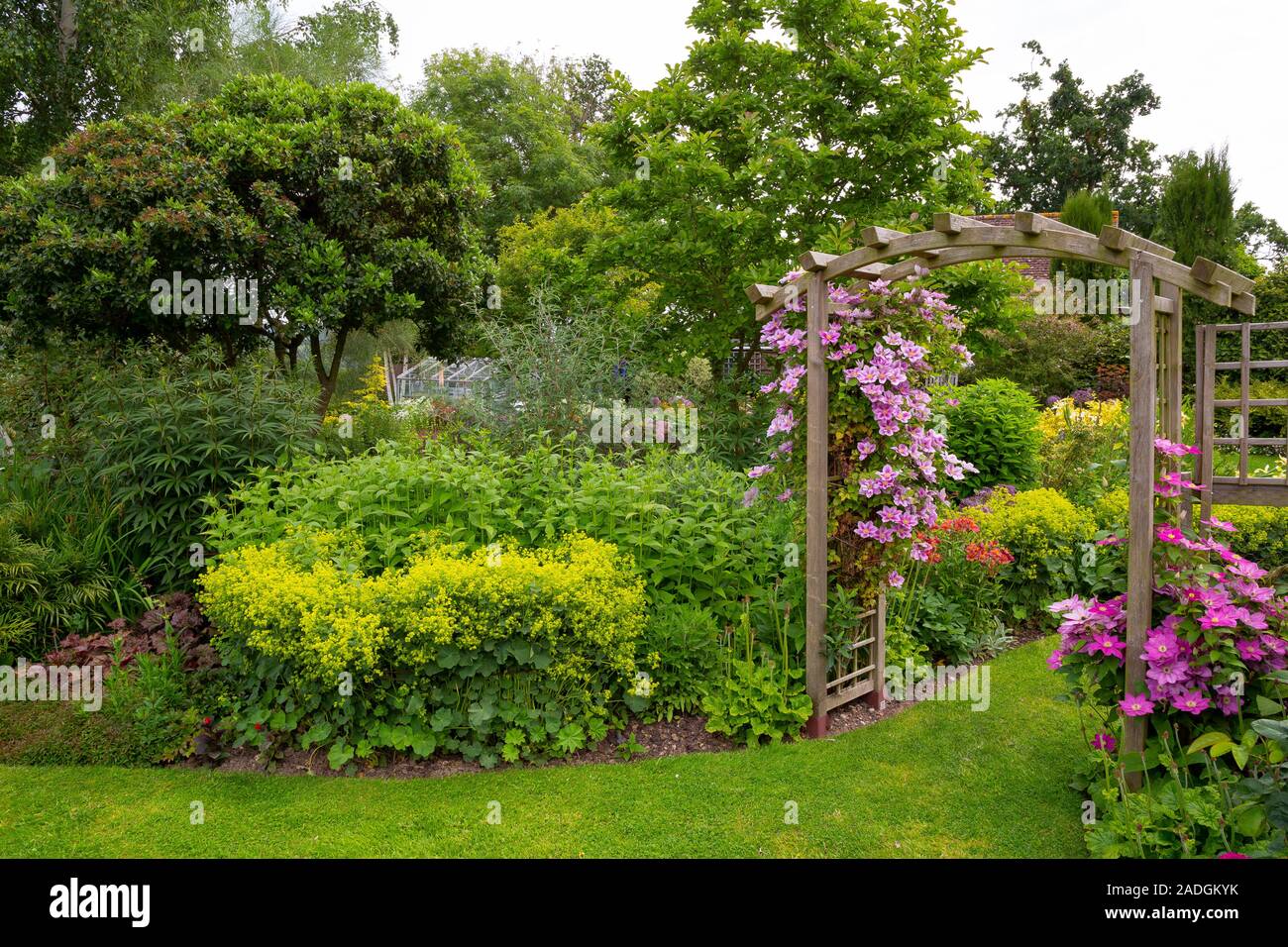A Clematis arch leading through the garden to herbaceous borders Stock ...