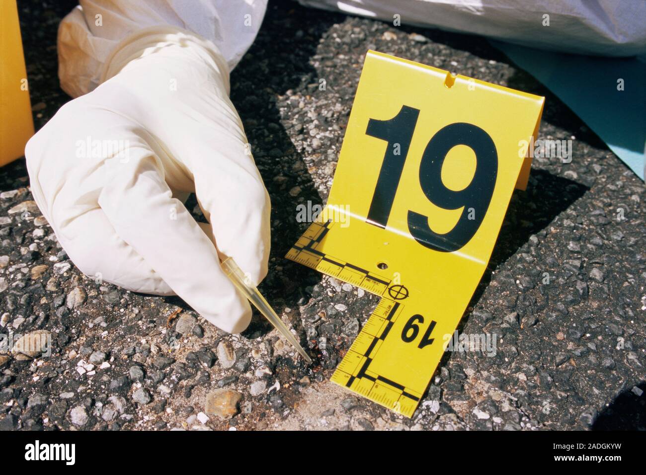 Forensics officer taking a blood sample from a crime scene. The blood ...