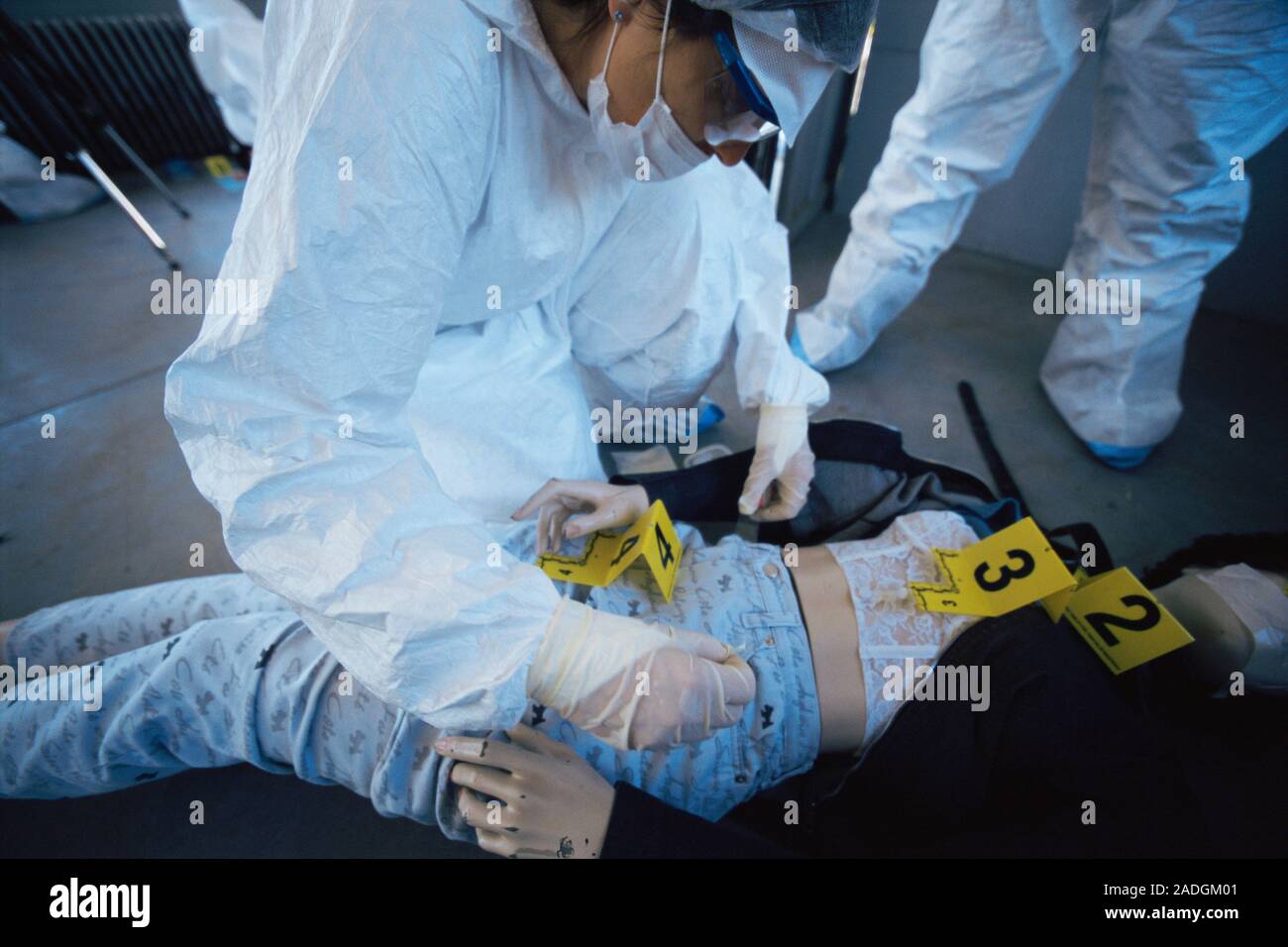 Forensics officers during a training exercise. One is taking a sample ...