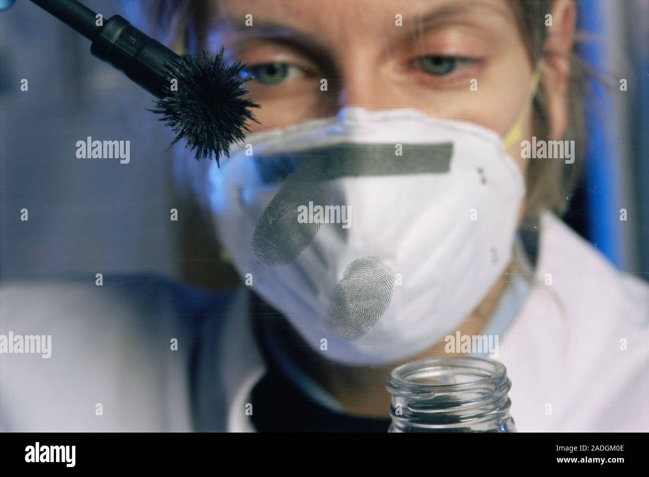 Fingerprint detection. Forensic scientist using powder to reveal ...