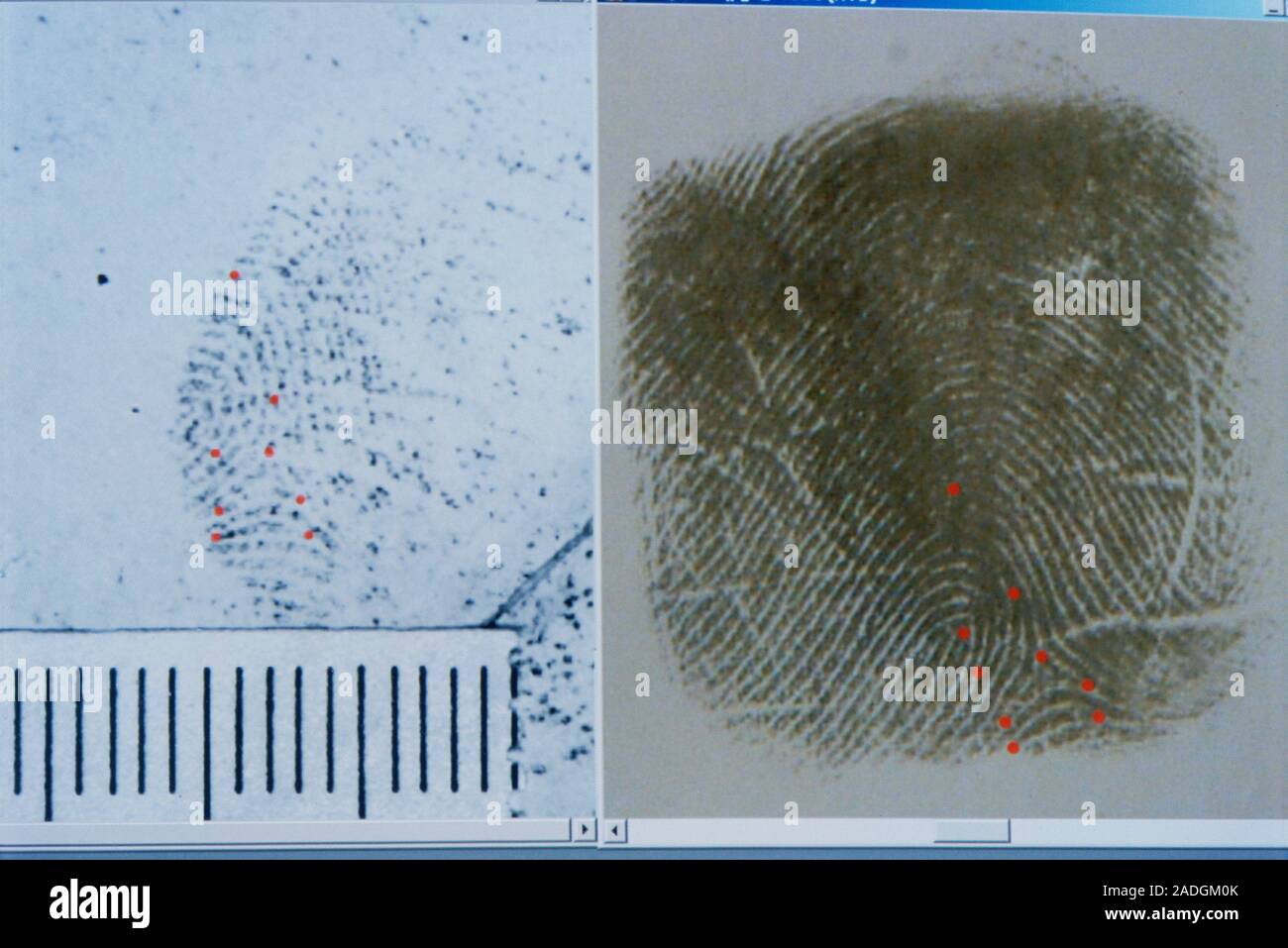 Fingerprint analysis. Partial fingerprint retrieved from a crime scene ...