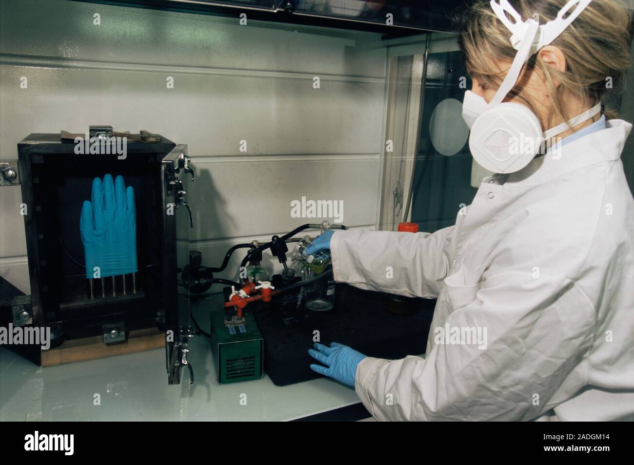 Fingerprint detection. Forensic scientist testing a latex glove for ...