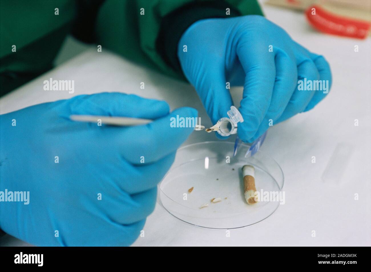 Forensic research. Forensic scientist taking a sample from a cigarette ...
