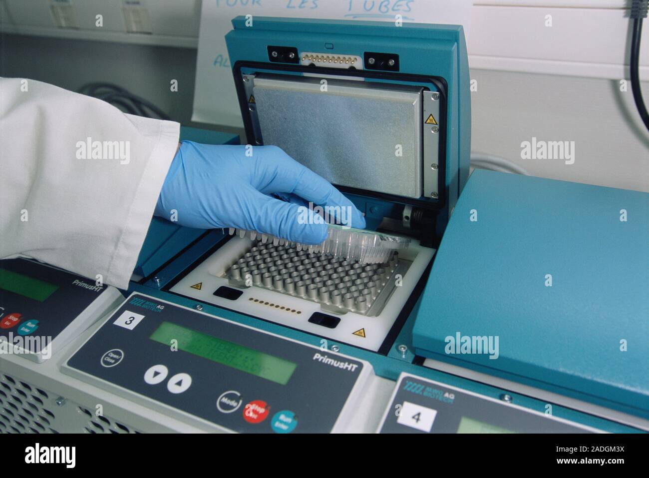 Forensic DNA analysis. Forensic scientist placing DNA samples from a ...
