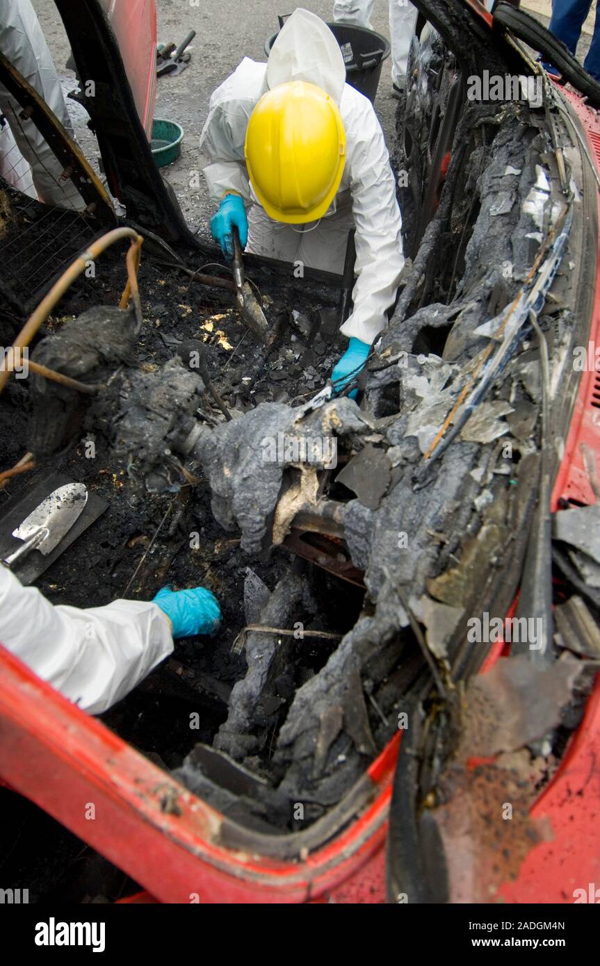 MODEL RELEASED. Forensic training. Forensics trainees collecting ...