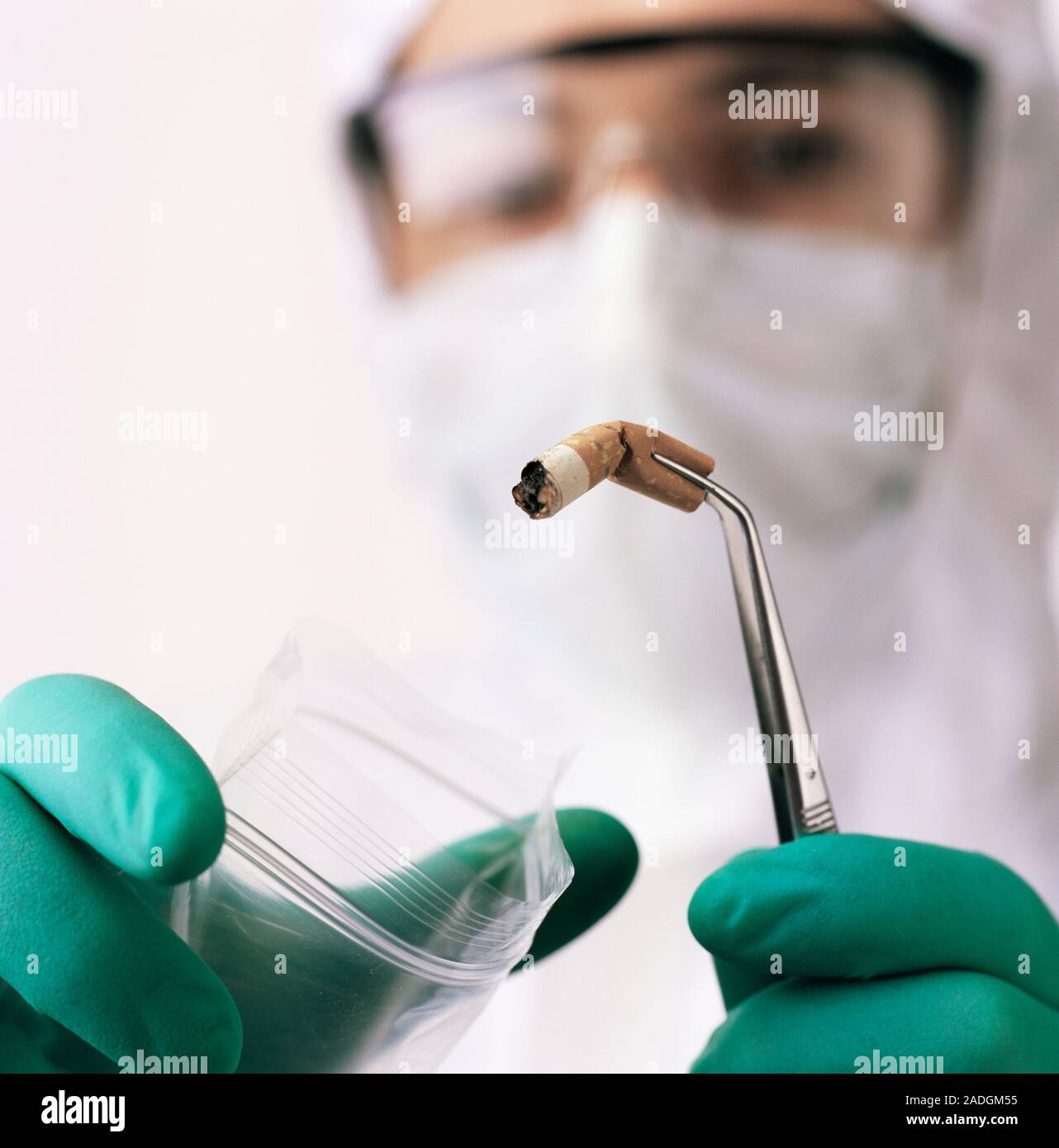 Forensic DNA evicence. Forensics officer using tweezers to place a used ...