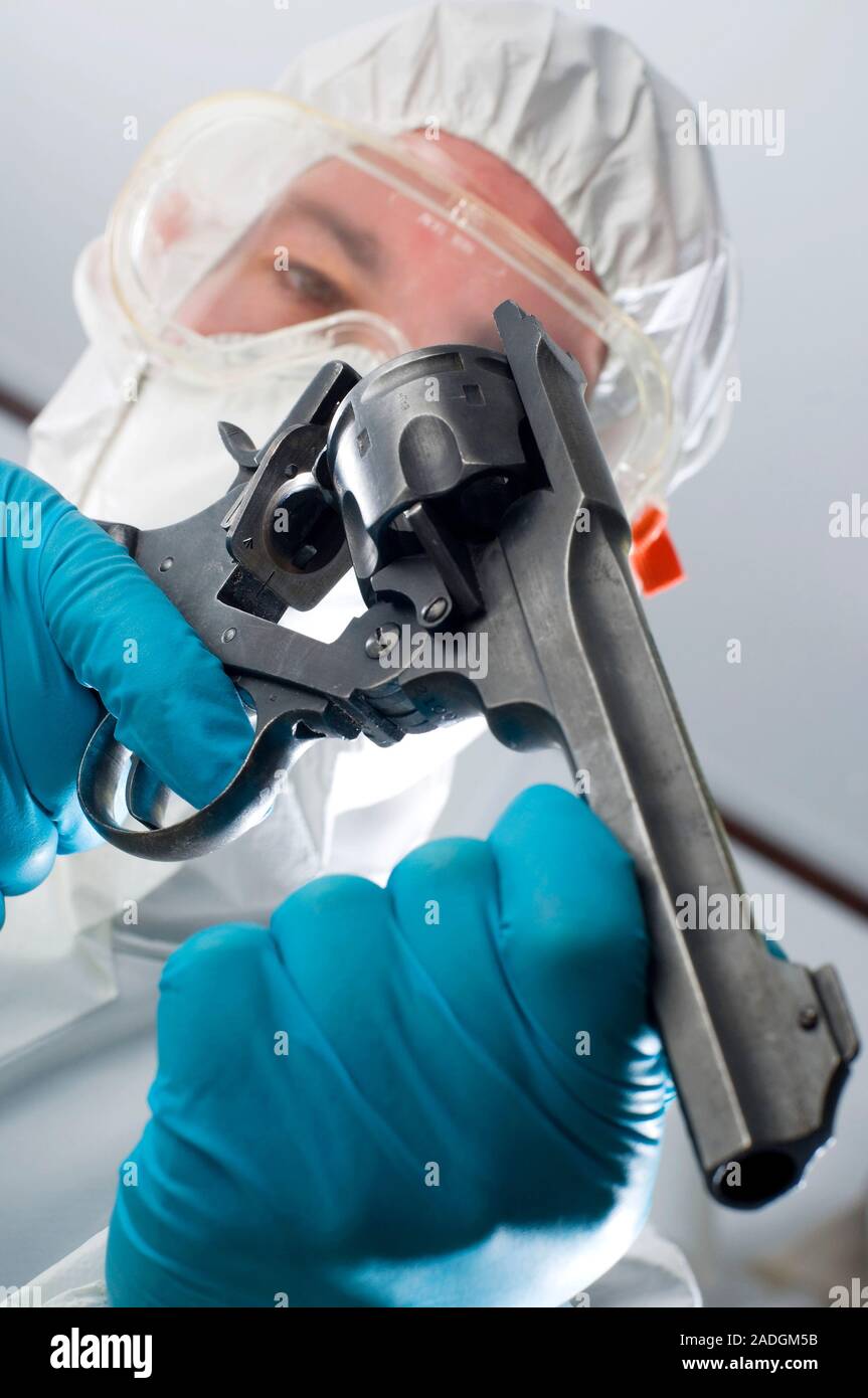 Forensics officer examining the cylinder of a handgun Stock Photo - Alamy