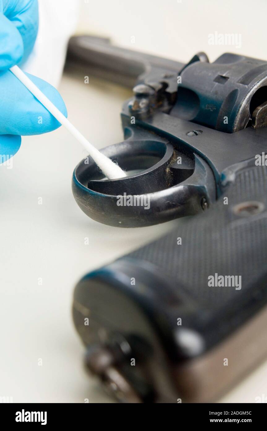 Forensics officer collecting evidence from the trigger of a handgun ...