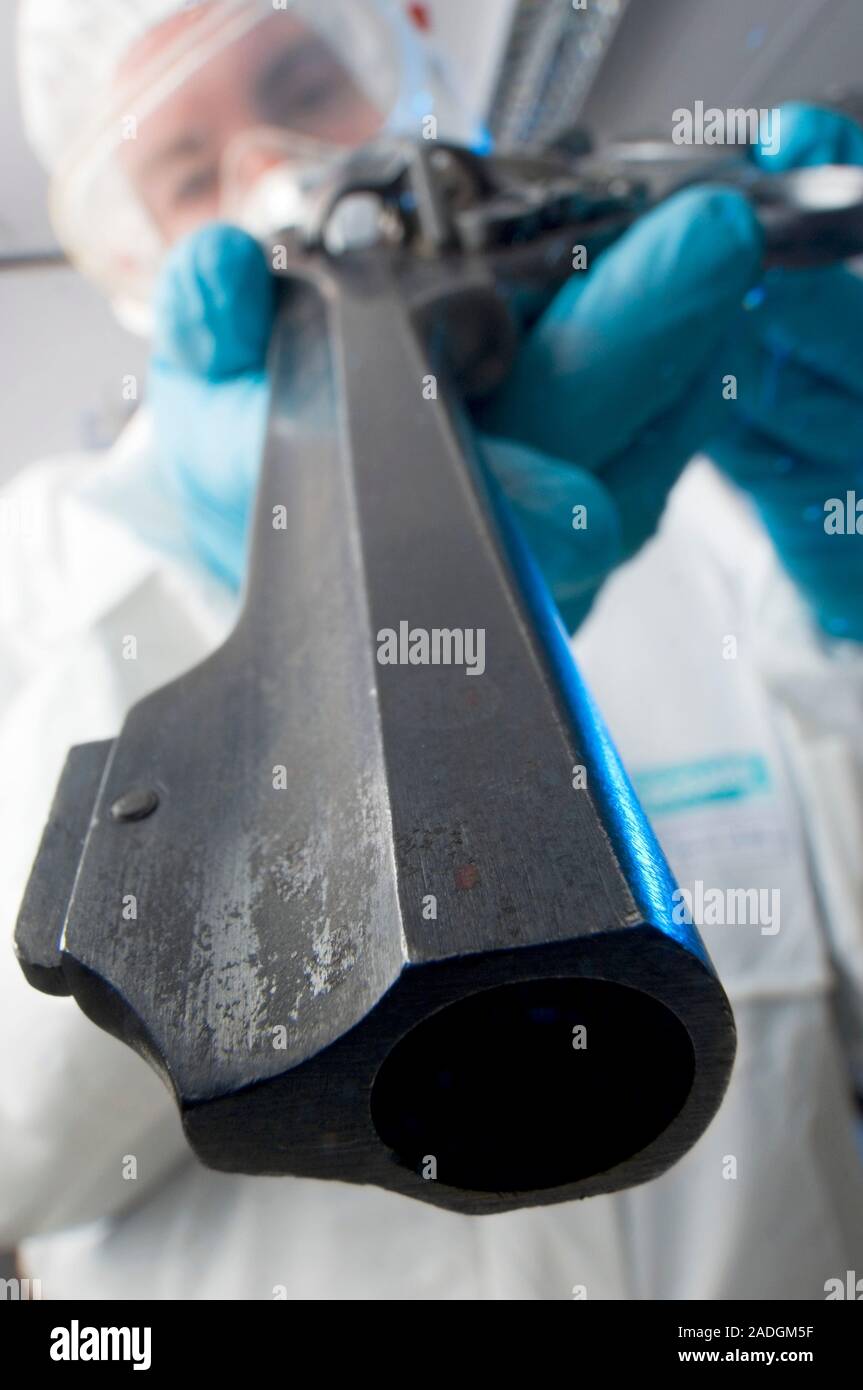 Forensics officer examining the cylinder of a handgun Stock Photo - Alamy