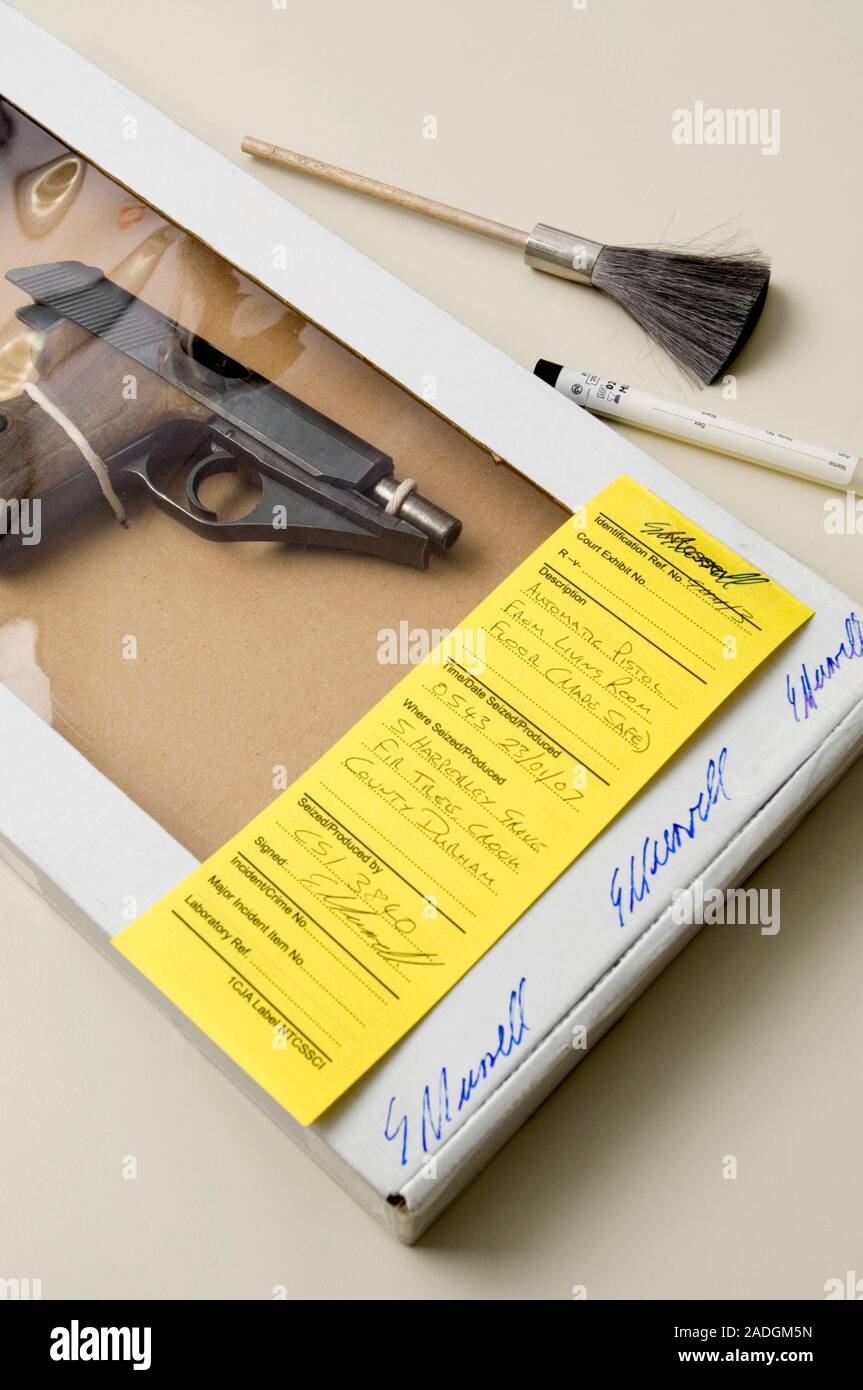 Handgun Evidence Boxes at Alannah Macquarie blog