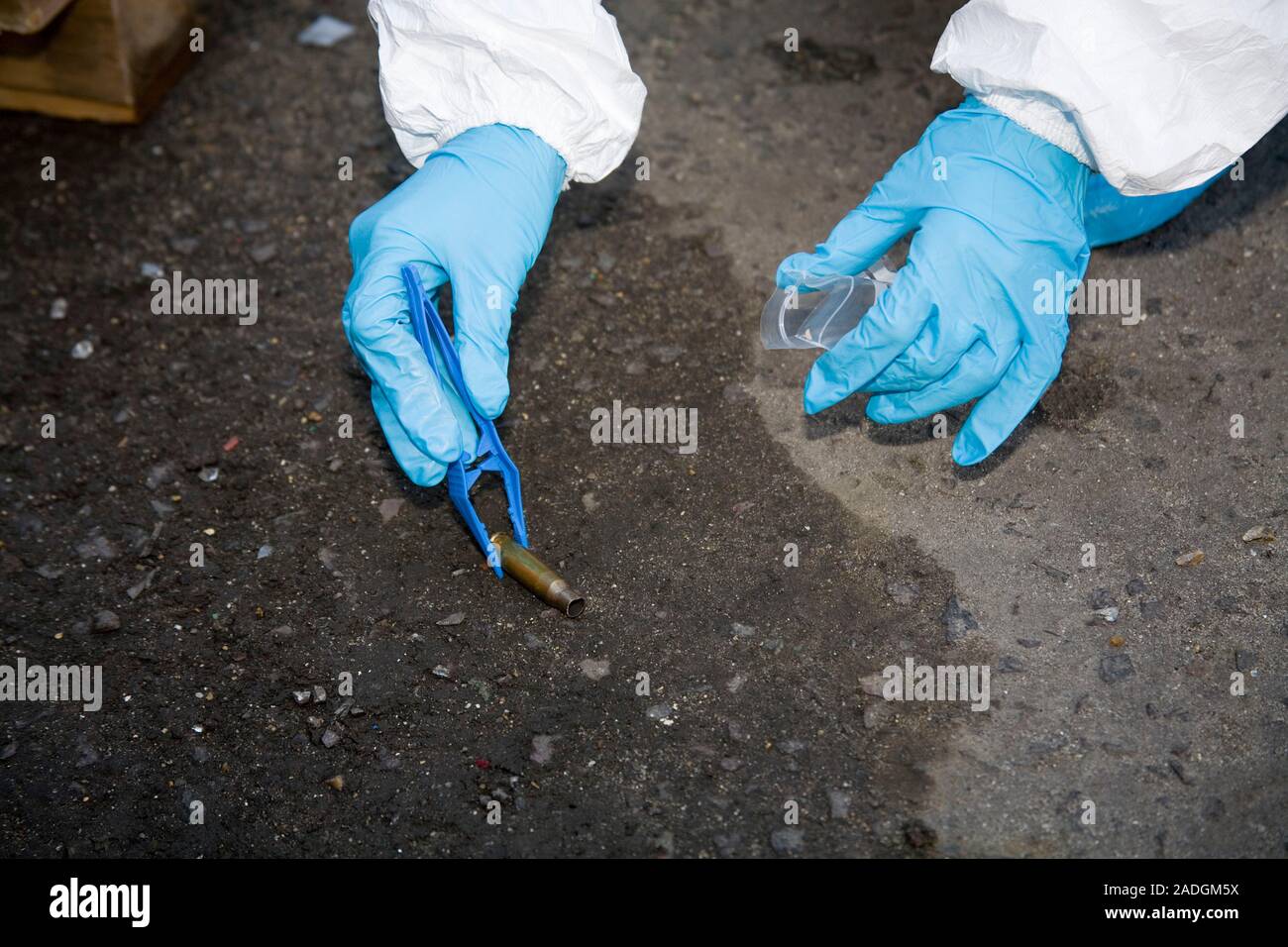 MODEL RELEASED. Collecting evidence. Forensics officer collecting a ...