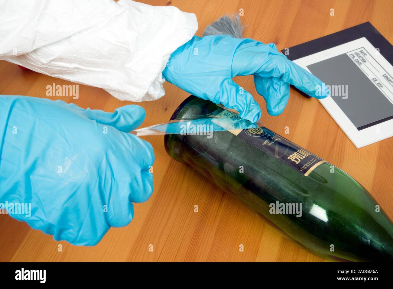 MODEL RELEASED. Fingerprint transfer. Forensics officer transferring a ...