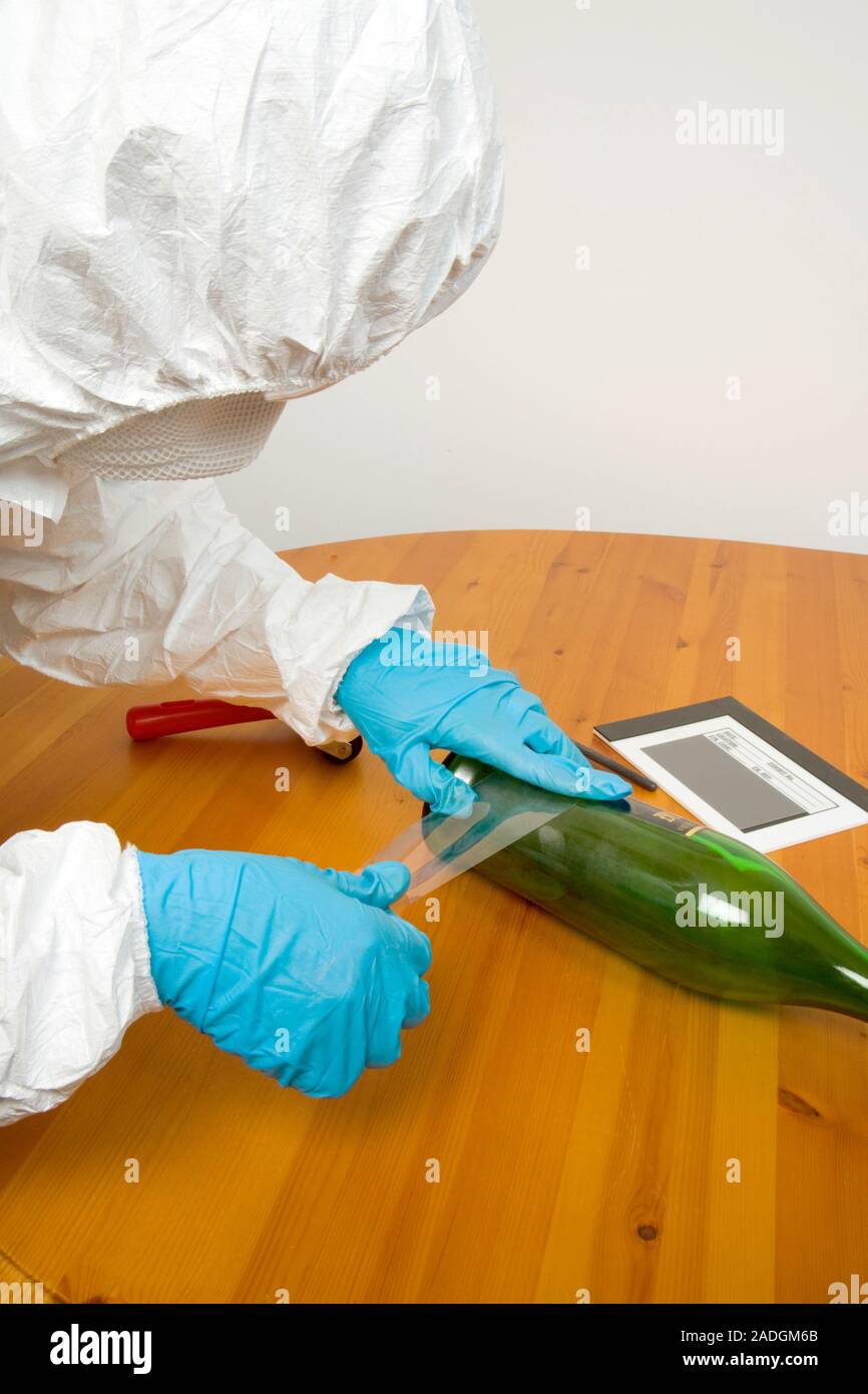 MODEL RELEASED. Fingerprint transfer. Forensics officer transferring a ...