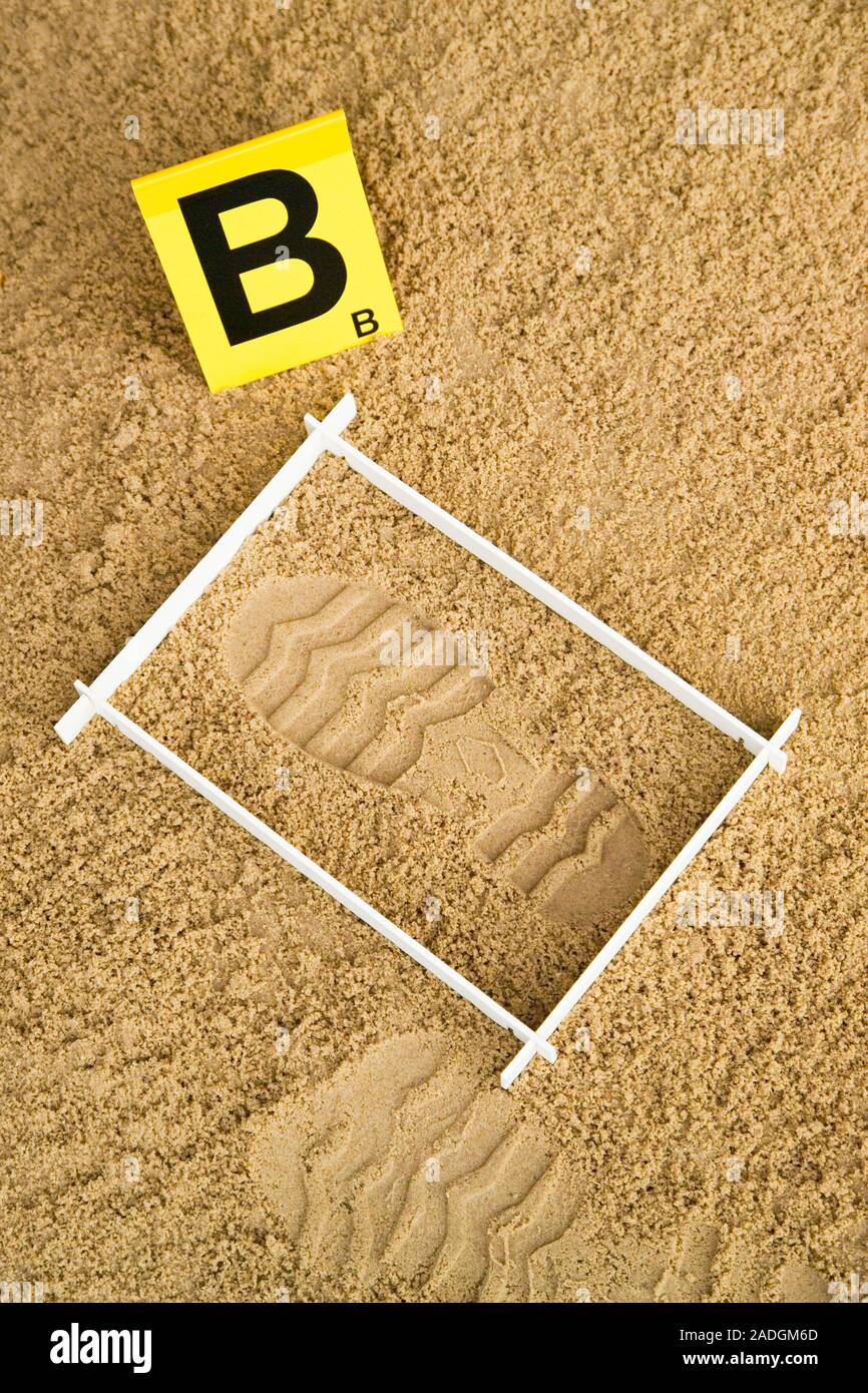 Shoe print evidence in sand at a crime scene ready for a cast to be ...