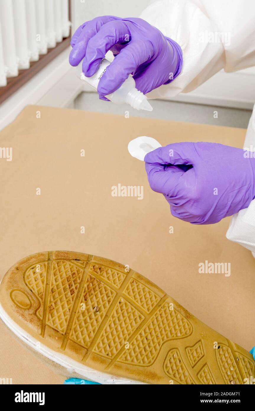 Forensic blood test. Image 2 of 5. Forensics officer performing a blood ...