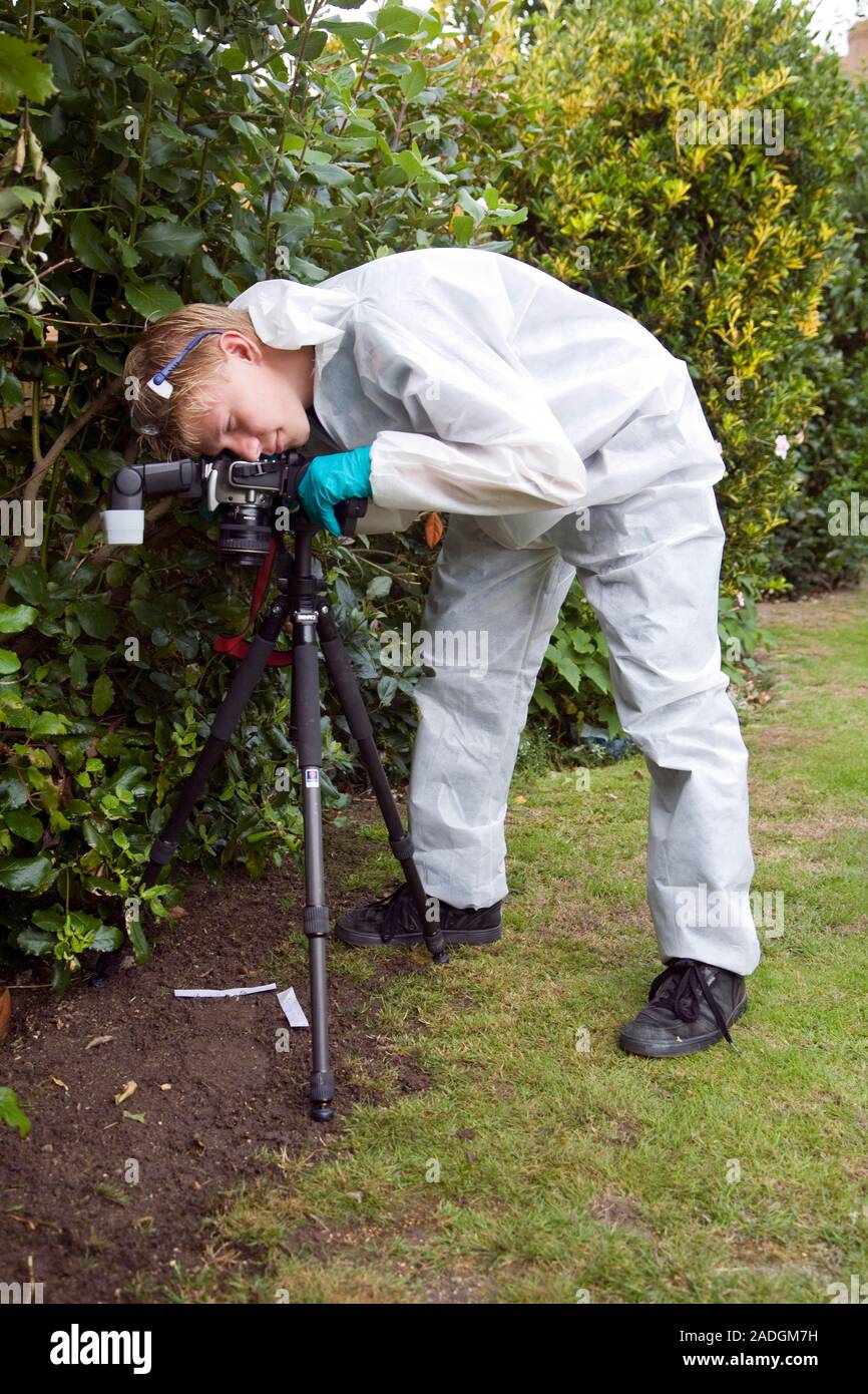 MODEL RELEASED. Footprint recovery. Forensics officer photographing a ...