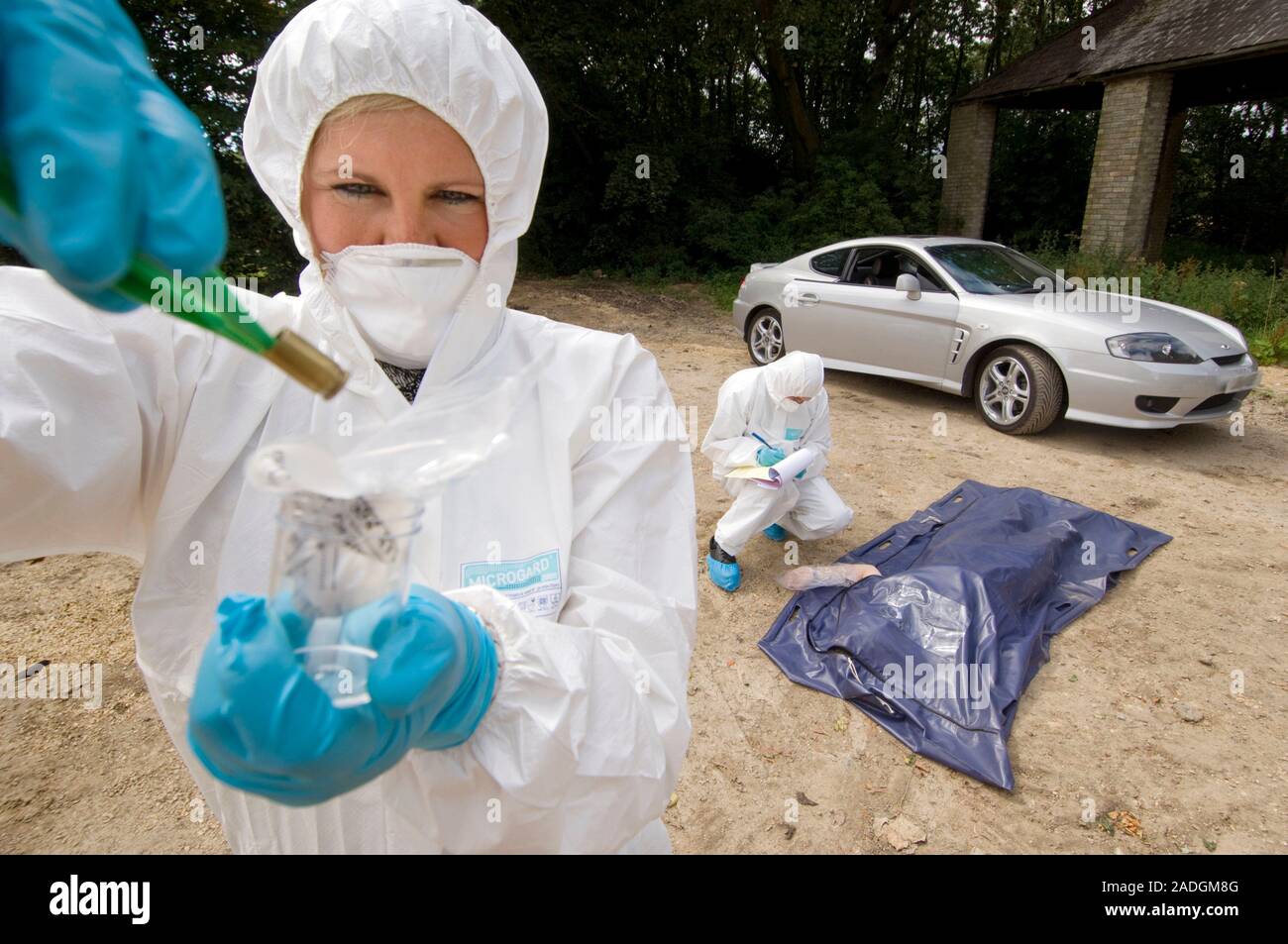 MODEL RELEASED. Murder investigation. Forensics officers collecting ...