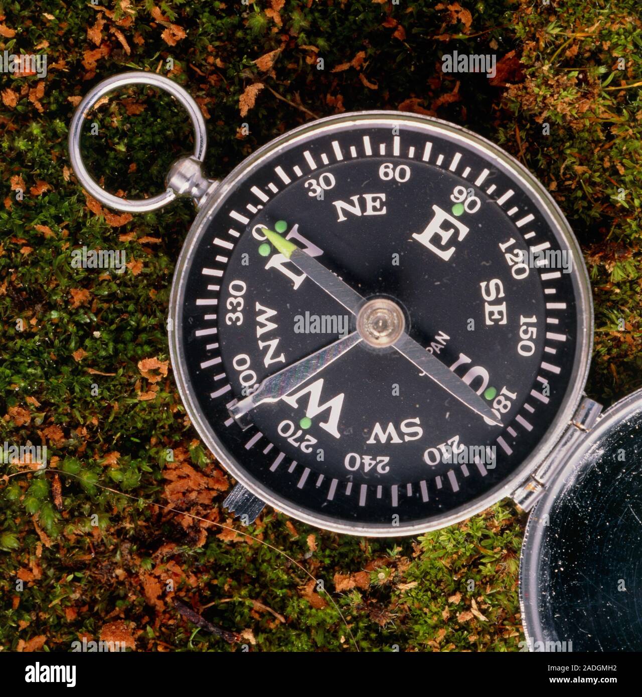 Magnetic compass. Magnetic compass on a background of moss and dead ...