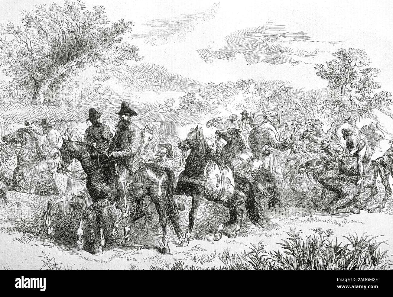 Burke and Wills' expedition. 19th century engraving of Robert O'Hara ...