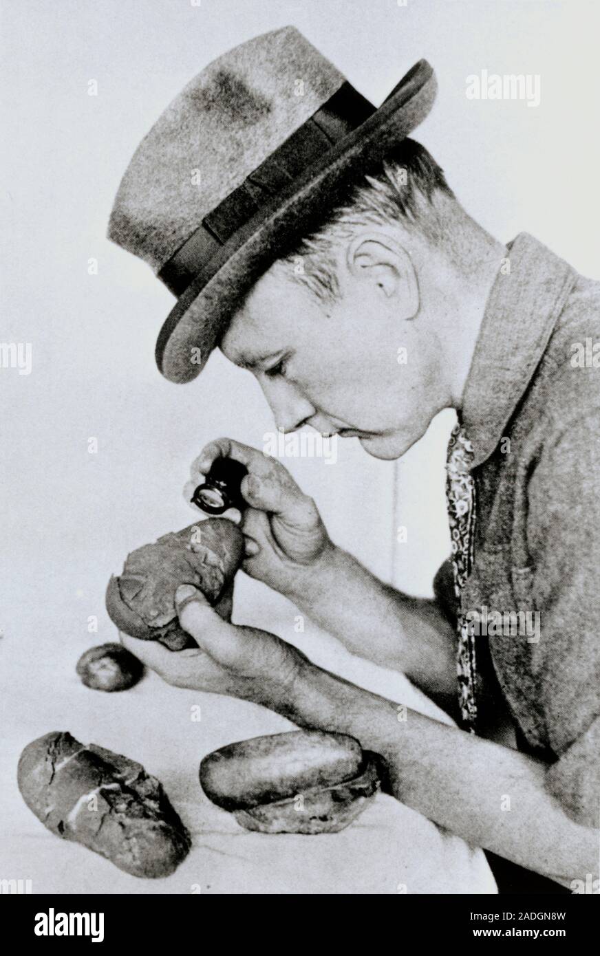 Roy Chapman Andrews. American naturalist and explorer Roy Chapman ...