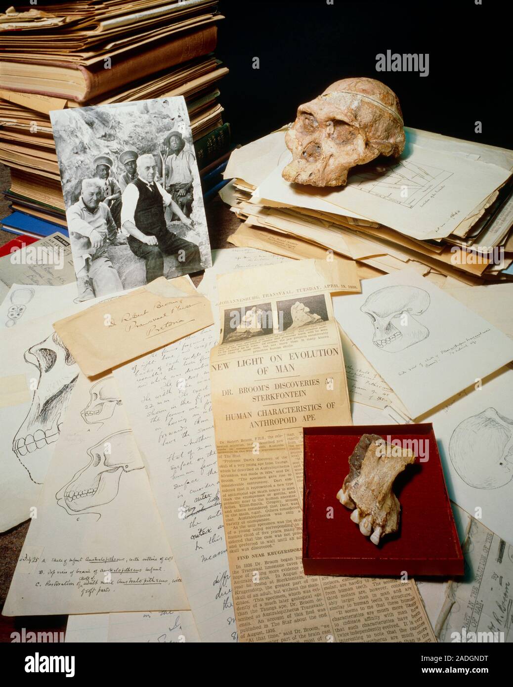 Robert Broom (front right) a palaeoanthropologist, with his original ...