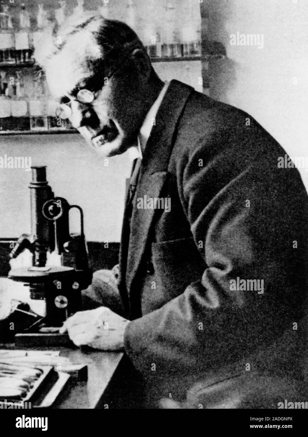 Martinus Beijerinck. Portrait of Martinus Willem Beijerinck (1851-1931 ...