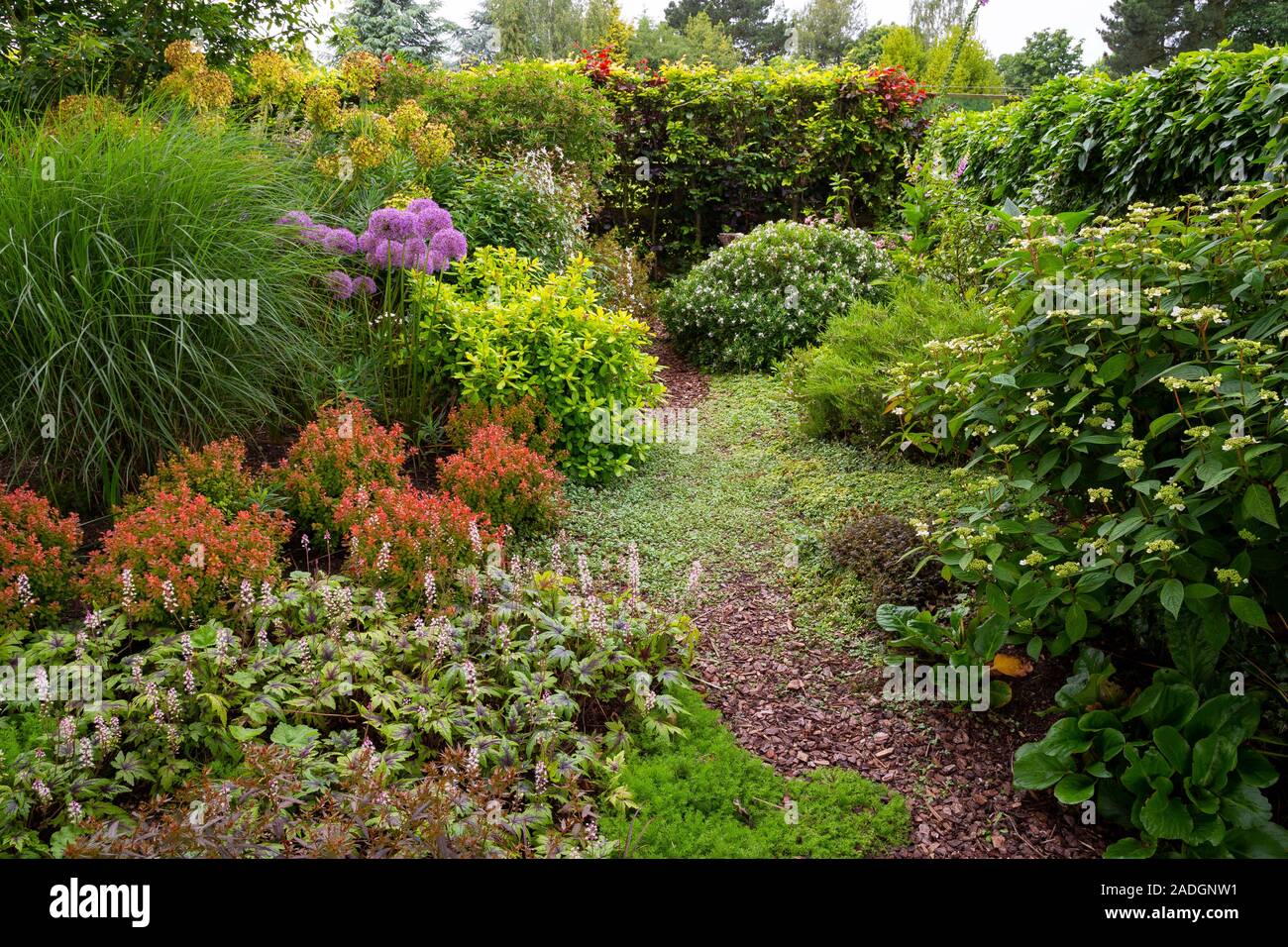 A bark path leading through herbaceous borders Stock Photo - Alamy