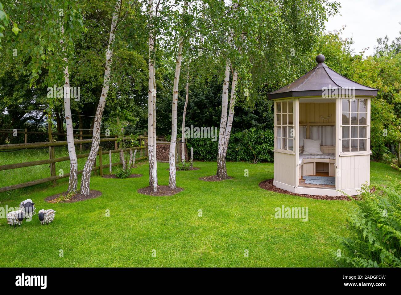 A revolving cream Summer House beside maturing Betula pendula trees ...