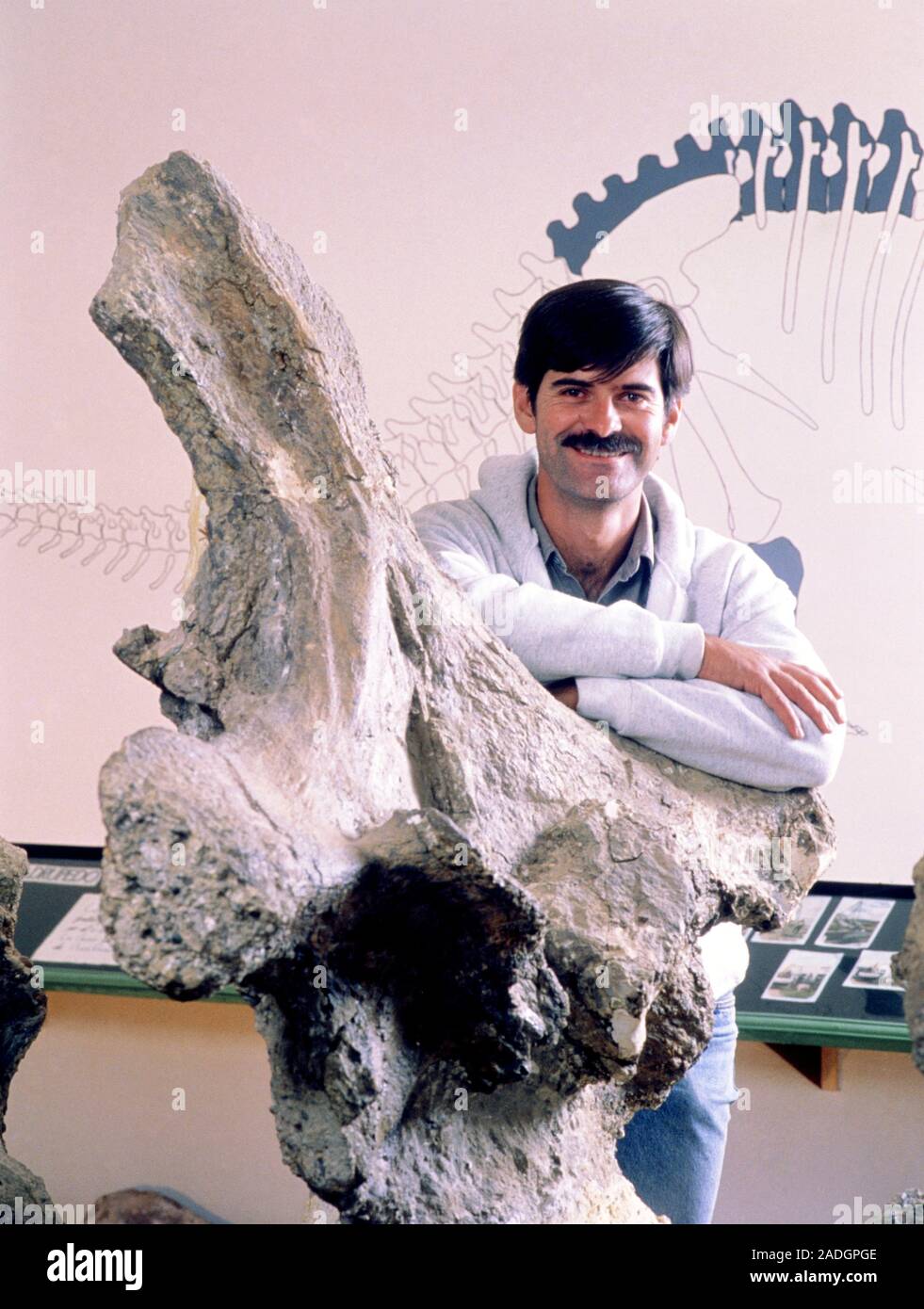 Rodolfo Coria. Argentine palaeontolgist Rodolfo Coria with a fossil ...