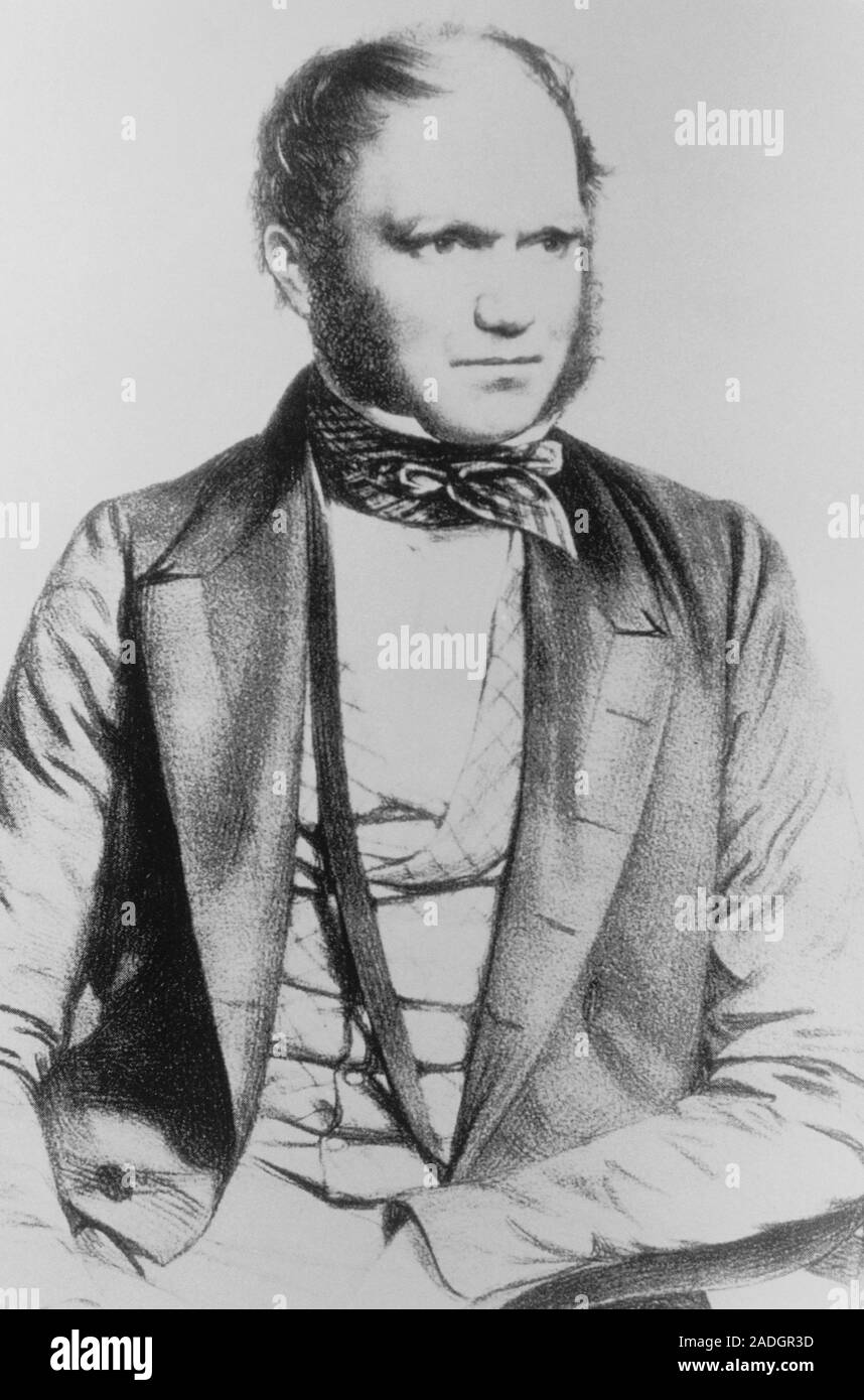Portrait of the English naturalist Charles (Robert) Darwin (1809-1882 ...